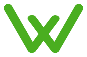 Browser & Network Connections | Web Tree Stack